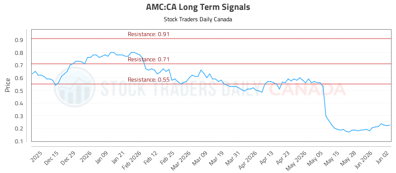 (AMC) Dynamic Trading Report