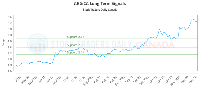 (ARG) Long Term Investment Analysis
