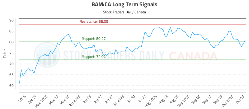 (BAM) Strategic Investment Report