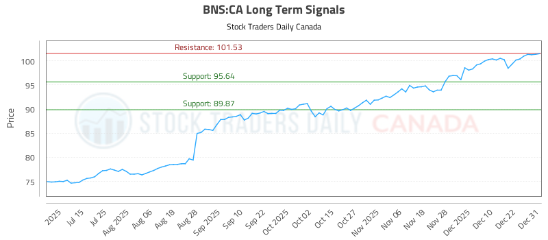 (BNS) Investment Performance Report