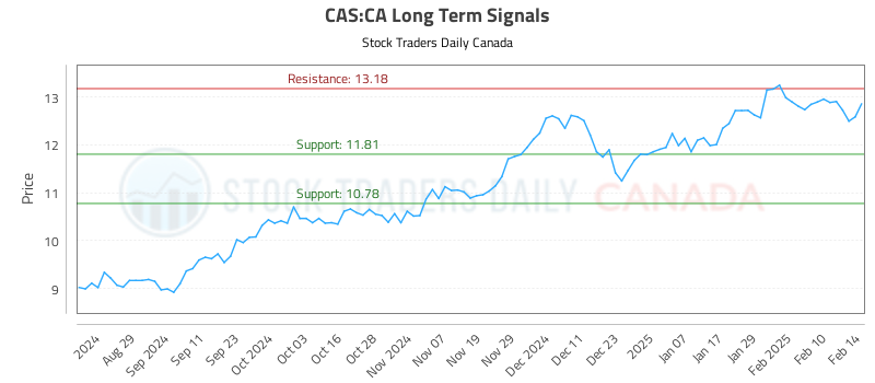 (CAS) Strategic Investment Report