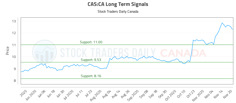(CAS) Investment Analysis