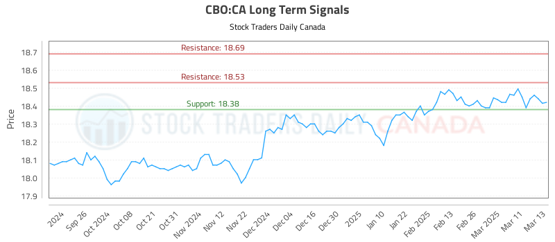 (CBO) Investment Report