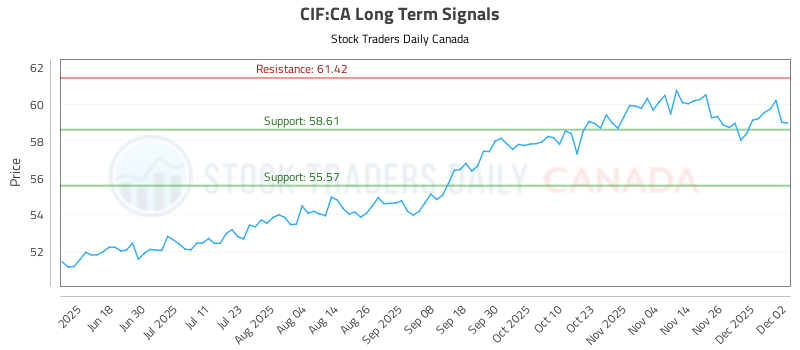 (CIF) Strategic Investment Guide