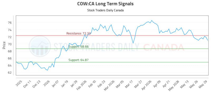 (COW) Investment Strategy and Analysis
