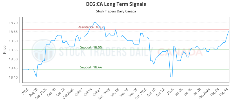 (DCG) Investment Report
