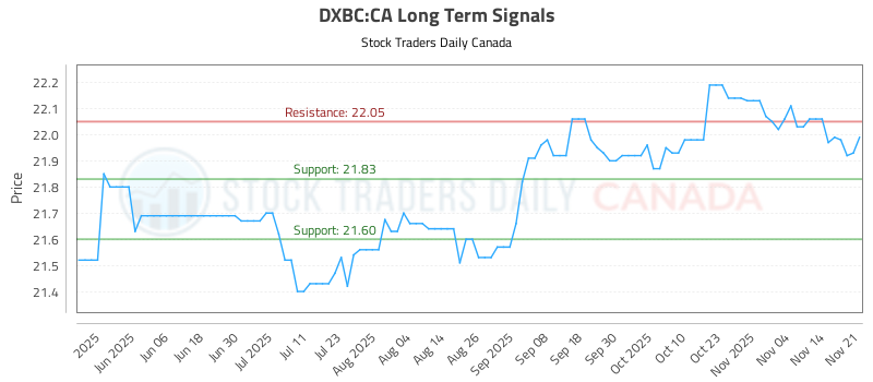 (DXBC) Long Term Investment Analysis