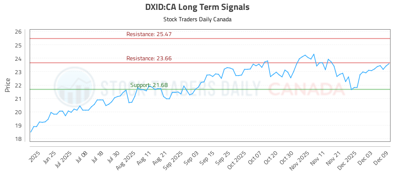 (DXID) Stock Market Analysis
