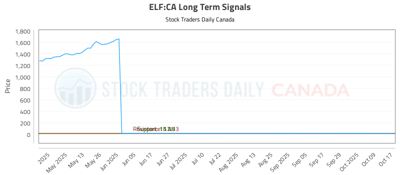 (ELF) Long Term Investment Analysis