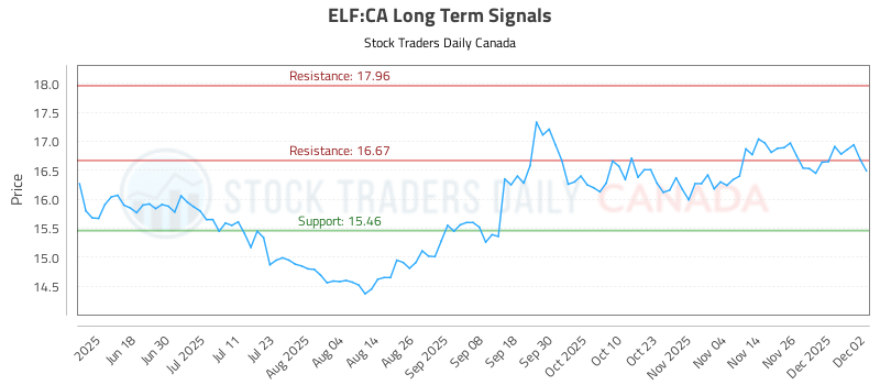 (ELF) Advanced Equity Analysis