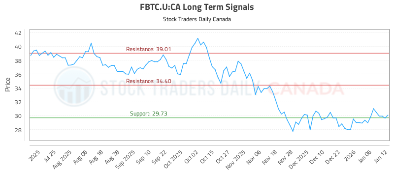 (FBTC.U) Investment Report