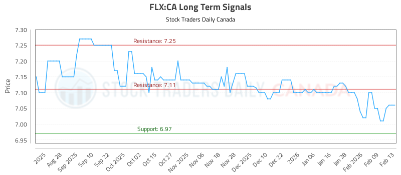 (FLX) Investment Strategy and Analysis