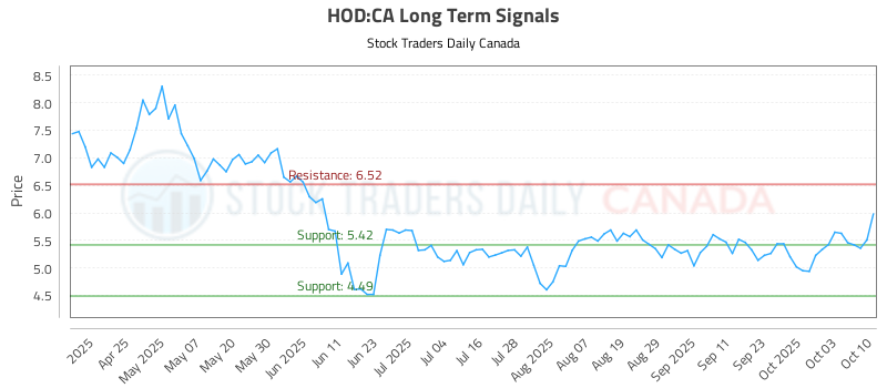 (HOD) Pivots Trading Plans and Risk Controls