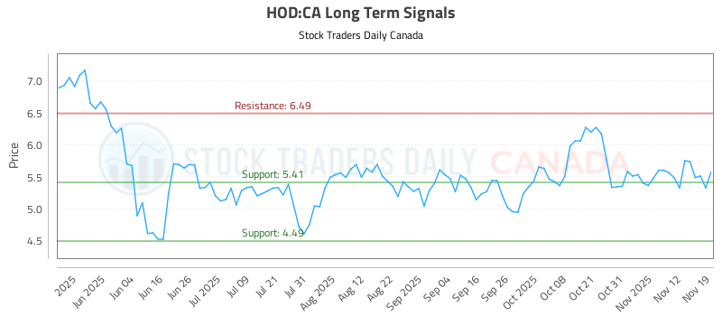 (HOD) Investment Analysis and Advice