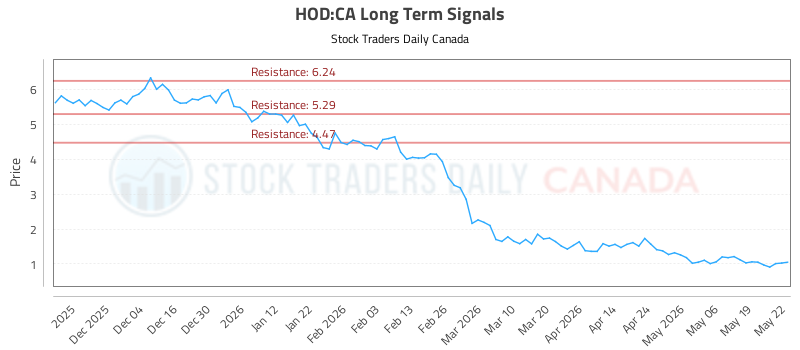 (HOD) Comprehensive Trading Strategy Report