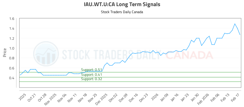 (IAU.WT.U) Investment Analysis and Advice
