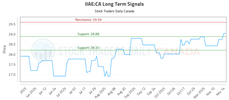 (IIAE) Investment Strategy and Analysis