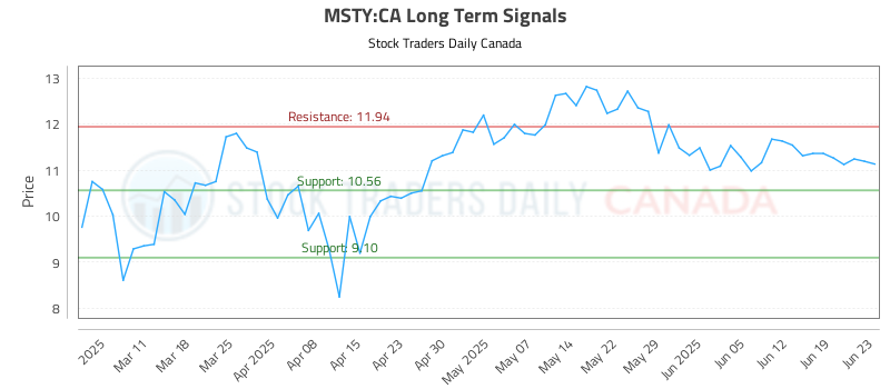 (MSTY) Investment Report