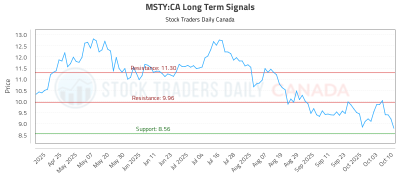 Where are the Opportunities in (MSTY)
