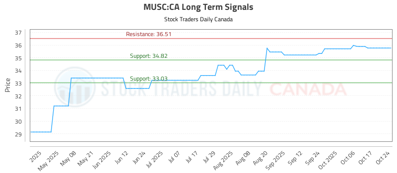(MUSC) Pivots Trading Plans and Risk Controls