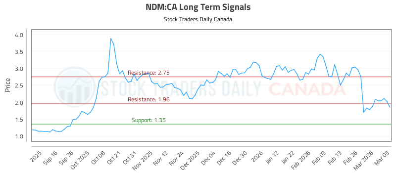 (NDM) Long Term Investment Analysis