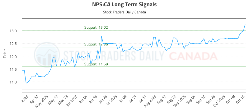 (NPS) Strategic Investment Guide
