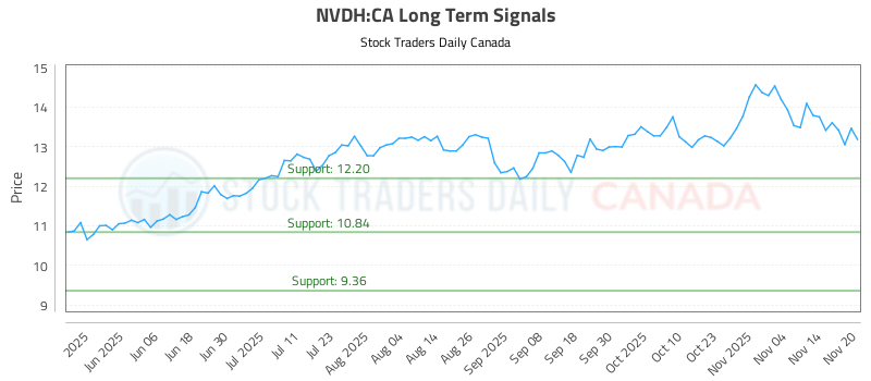 (NVDH) Optimized Trading Opportunities