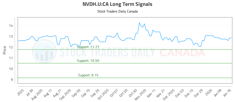 How the (NVDH.U) price action is used to our Advantage