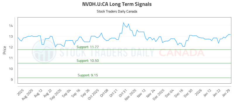 (NVDH.U) Trading Performance and Risk Management