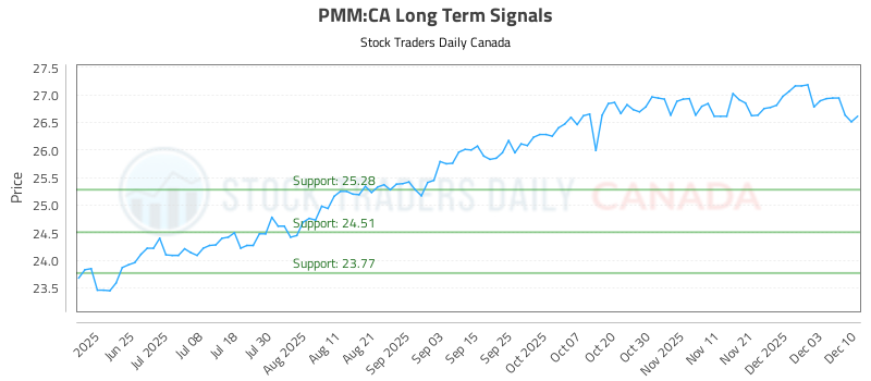 (PMM) Stock Market Analysis
