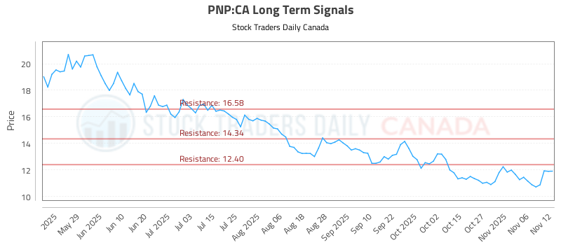 (PNP) Pivots Trading Plans and Risk Controls