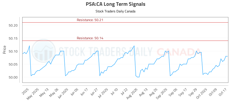 (PSA) Strategic Investment Guide