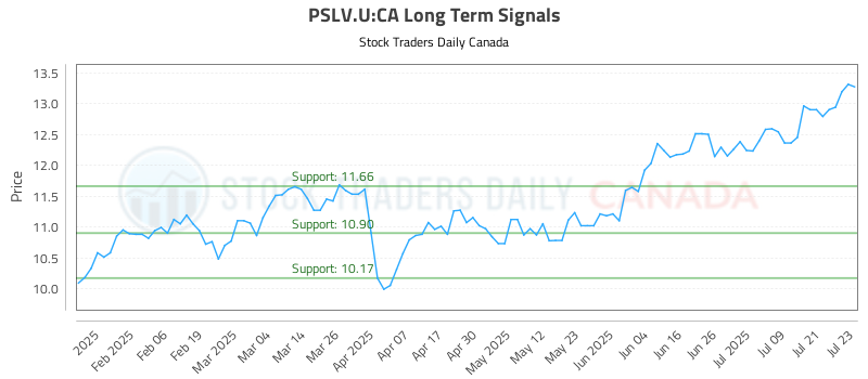 (PSLV.U) Investment Strategy and Analysis