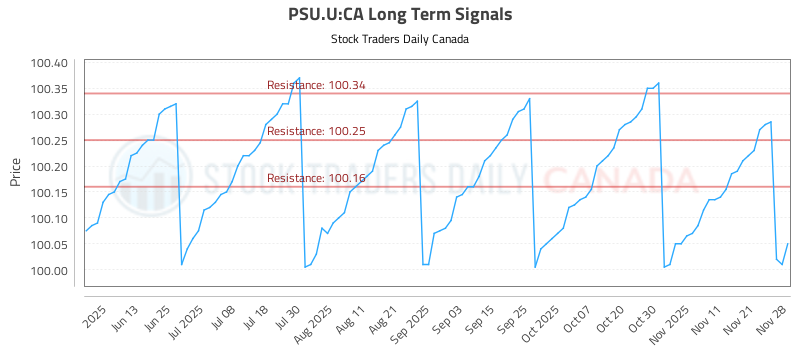 (PSU.U) Strategic Equity Report