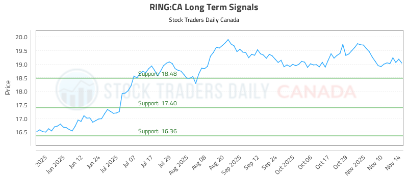 (RING) Investment Analysis
