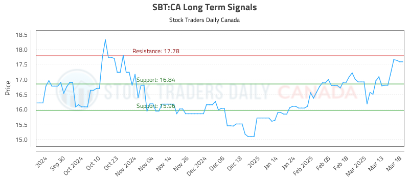 (SBT) Dynamic Trading Report