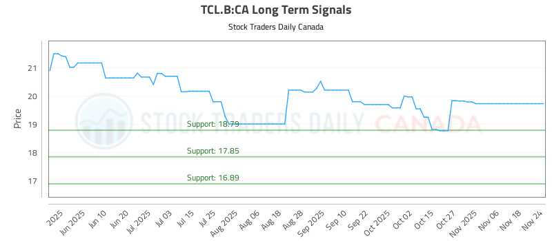 (TCL.B) Investment Analysis