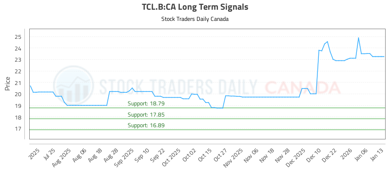 (TCL.B) Investment Strategy and Analysis