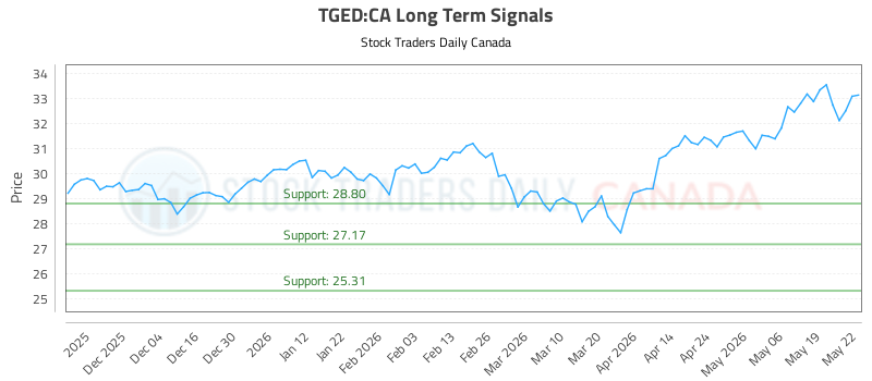 (TGED) Financial Trading Report