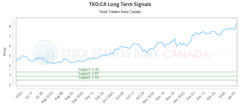 (TKO) Stock Market Analysis