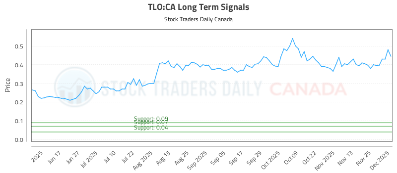 (TLO) On The My Stocks Page