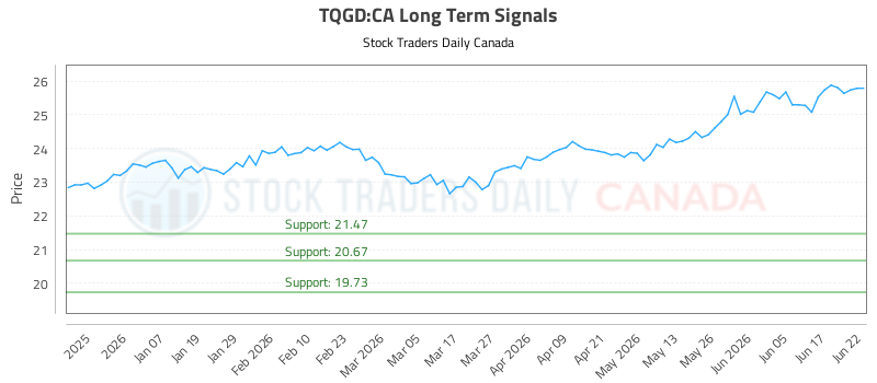(TQGD) Long Term Investment Analysis