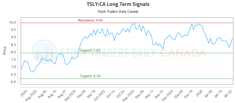 (TSLY) Investment Performance Report