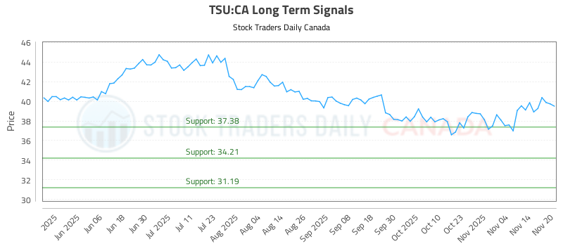 (TSU) Dynamic Trading Report