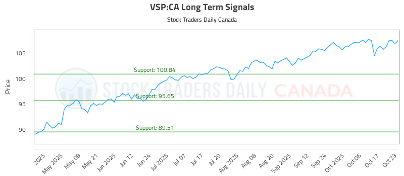 (VSP) Stock Evaluation Report