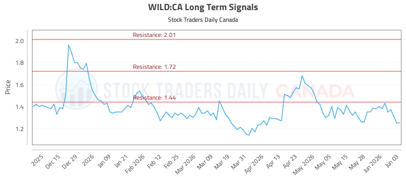 (WILD) Trading Advice