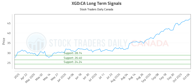 (XGD) Strategic Investment Report
