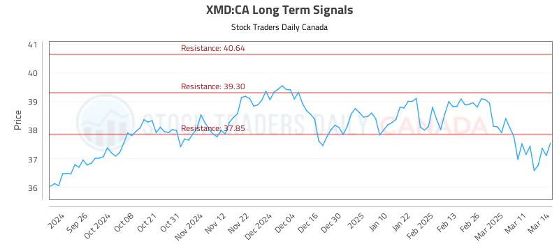 (XMD) Dynamic Trading Report
