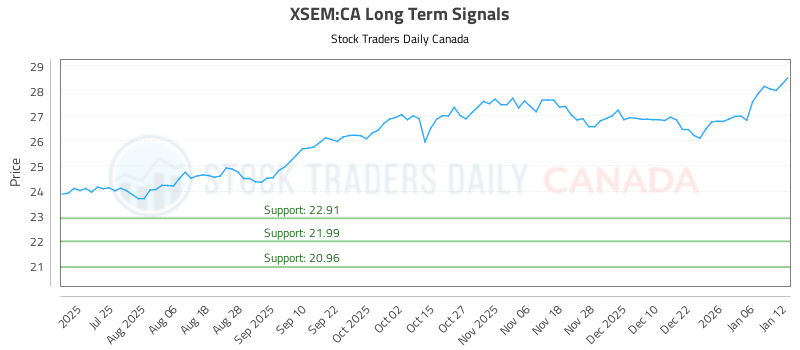 Trend Tracker for (XSEM)