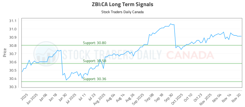 (ZBI) Investment Strategy and Analysis